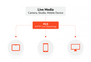 What Is HLS Streaming? Definition, Example, Usage, Pros & Cons
